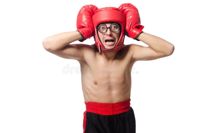 Funny boxer stock photo. Image of glove, fight, athlete - 51094832