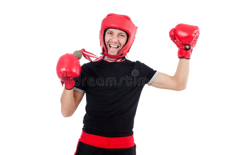Funny Boxer Isolated on the White Stock Photo - Image of healthy ...