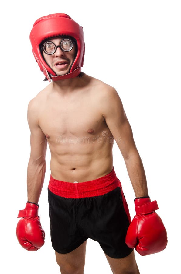 Funny Boxer Isolated on the White Stock Photo - Image of eyeglasses ...