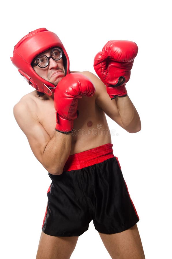Funny Boxer Isolated on the White Stock Image - Image of irate ...