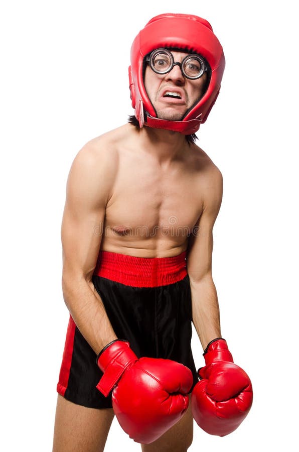 Funny Boxer Isolated on the White Stock Photo - Image of action, anger ...