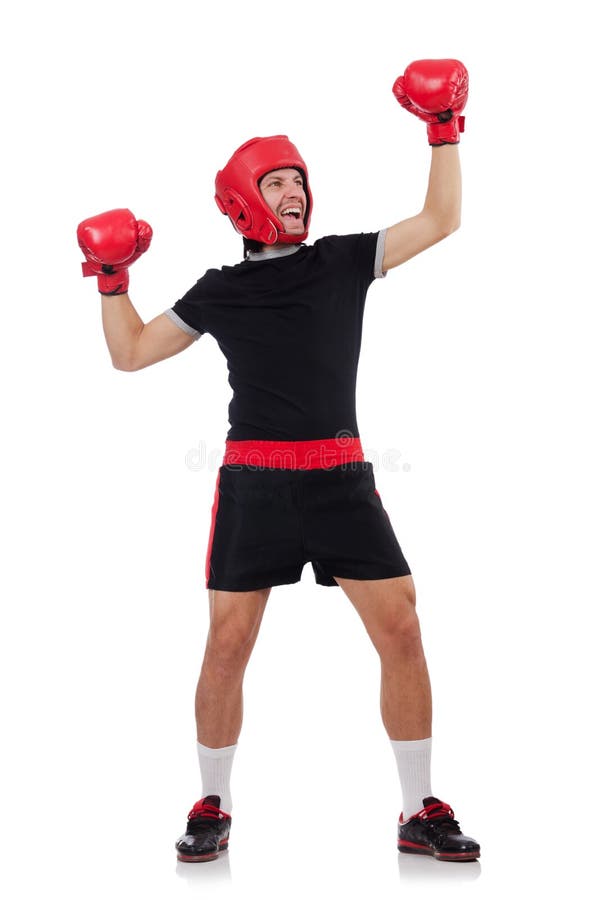 Funny Boxer Isolated on the White Stock Photo - Image of humourous ...