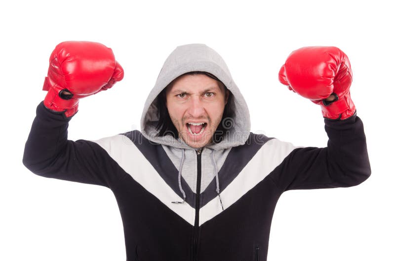 Funny Boxer Isolated on White Stock Image - Image of anger, irate: 56539011