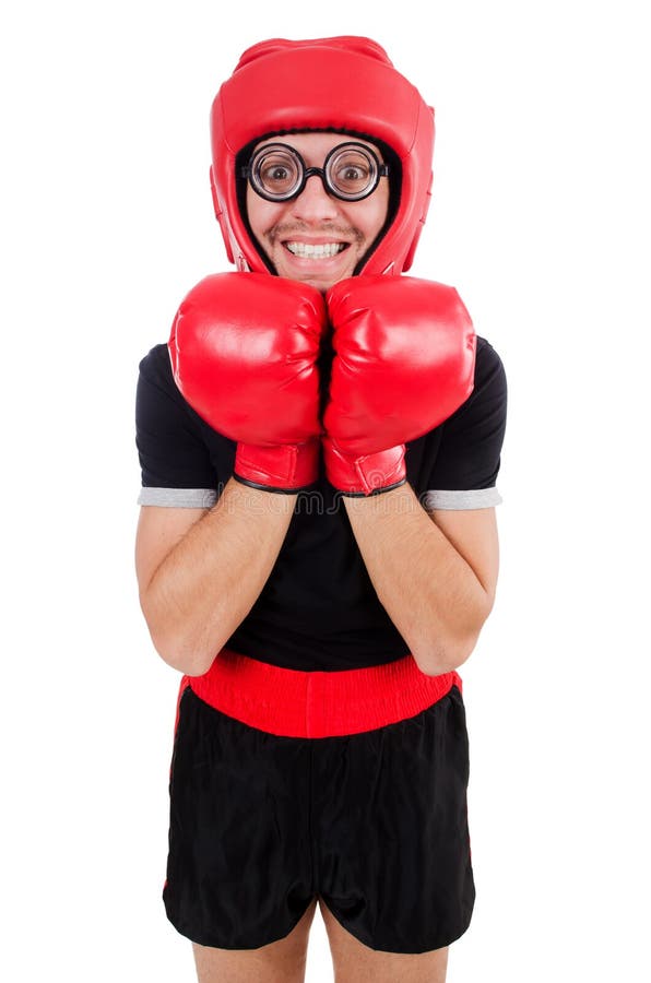 Funny Boxer Isolated on White Stock Image - Image of body, boxer: 57416709
