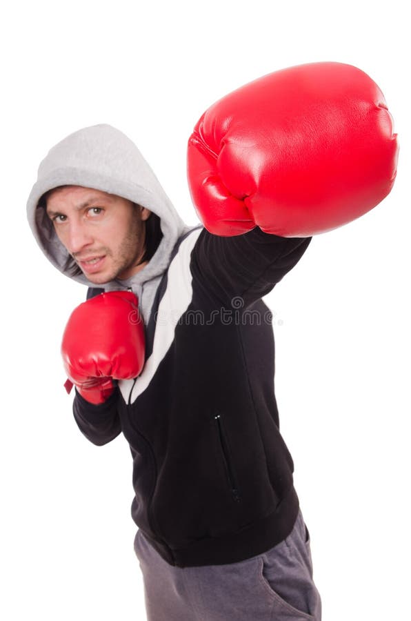 Funny Boxer Isolated on White Stock Photo - Image of irate, fight: 57430936