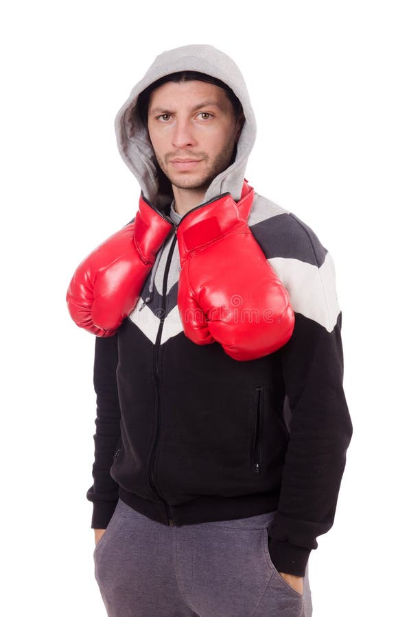 Funny Boxer Isolated on White Stock Photo - Image of fight, angry: 57484586