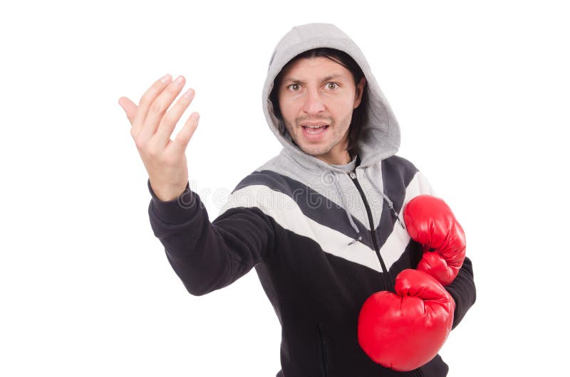 Funny Boxer Isolated on the White Stock Photo - Image of anger, boxer ...
