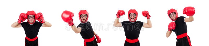 The Funny Boxer Isolated on the White Stock Image - Image of boxing ...