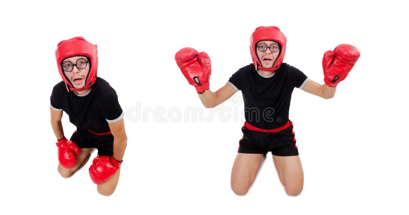 The Funny Boxer Isolated on the White Stock Image - Image of fist ...
