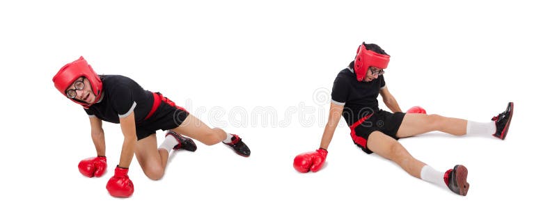 The Funny Boxer Isolated on the White Stock Photo - Image of fighter ...
