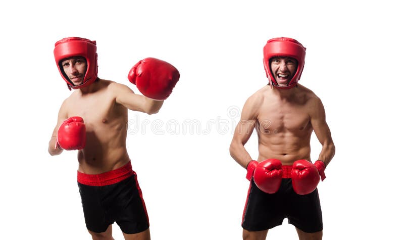 The Funny Boxer Isolated on the White Stock Photo - Image of gloves ...