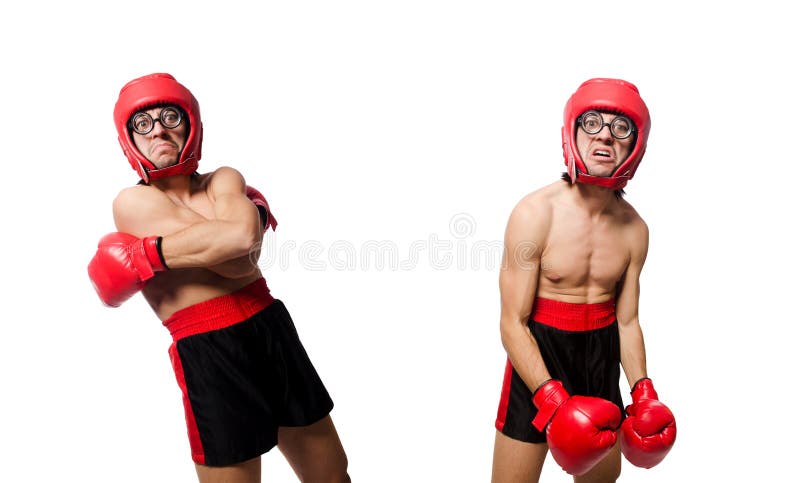 The Funny Boxer Isolated on the White Stock Image - Image of athlete ...