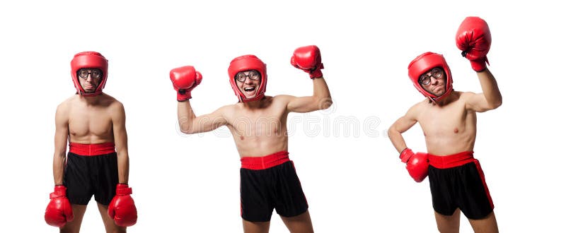 The Funny Boxer Isolated on the White Stock Photo - Image of champion ...