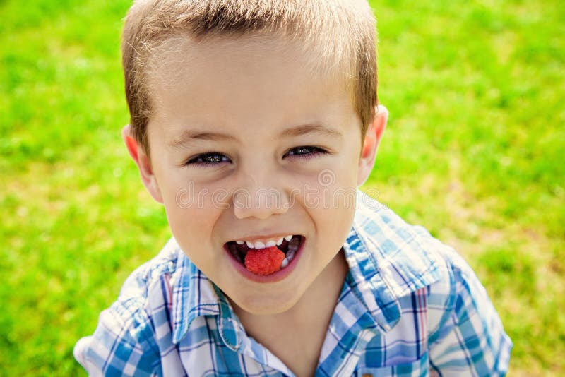 Funny boy eating raspberry stock image. Image of child - 38890823