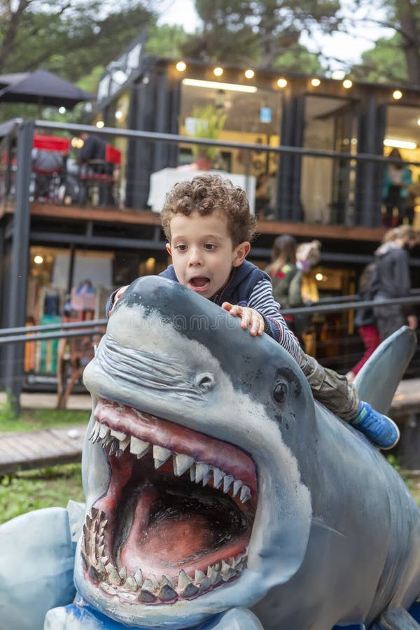 Funny Boy Playing on Top of a Shark Stock Image - Image of joyful ...