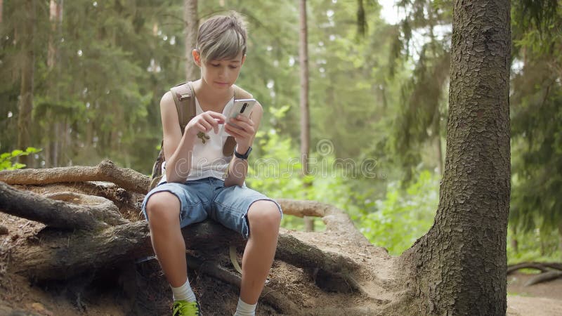 Funny Boy Sits in the Forest on the Roots of an Old Tree and Uses the ...