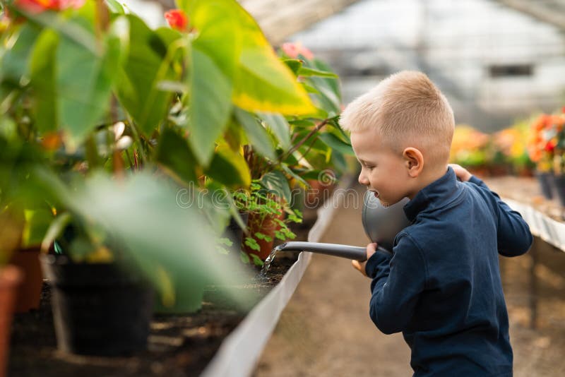 Funny Boy Watering Flowers in a Greenhouse. Stock Photo - Image of ...