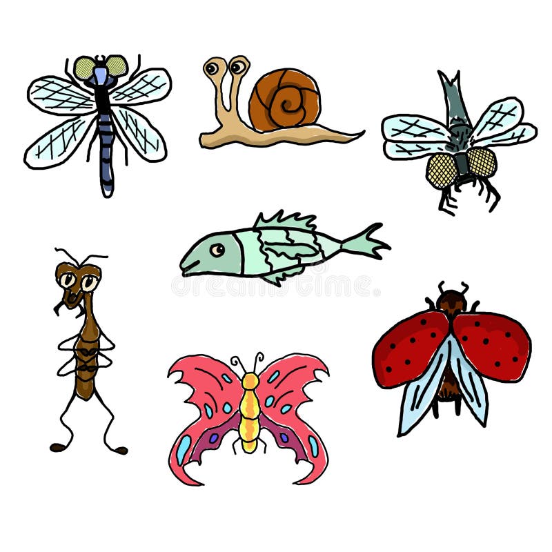 Funny Bugs and Fish Simple Illustration Set Hand Drawing Stock Photo ...
