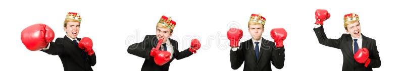 Funny Businessman with Crown and Boxing Gloves Stock Image - Image of ...
