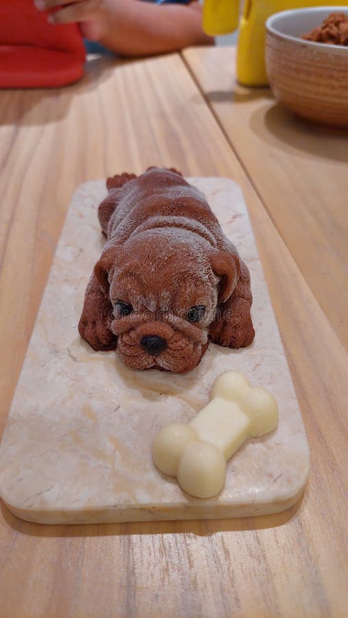 FUNNY CAKE Doggy stock image. Image of mousses, chocolate - 266621273