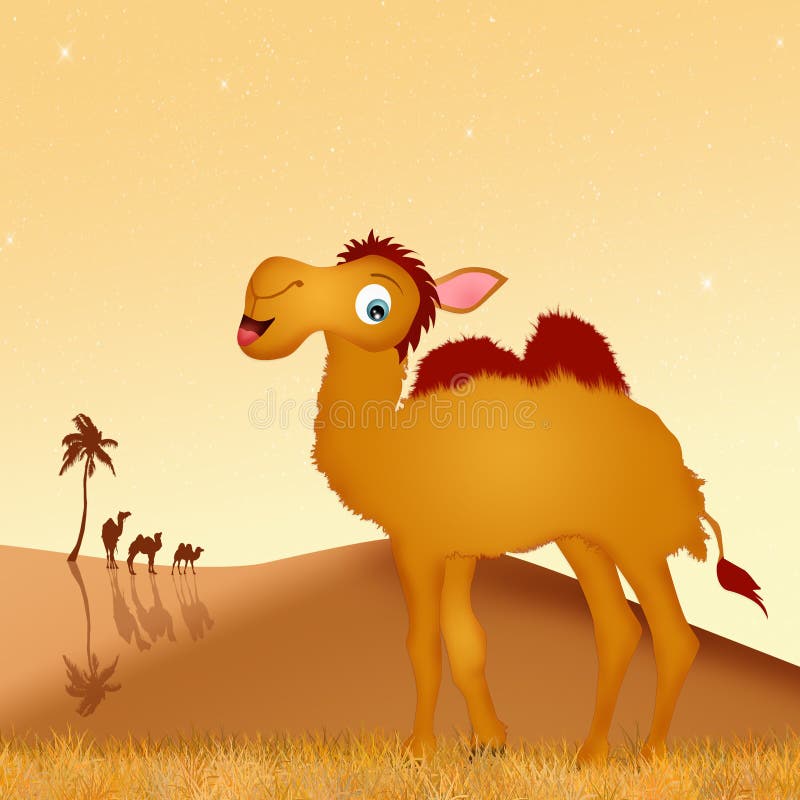 Funny camel in the desert stock illustration. Illustration of beast ...