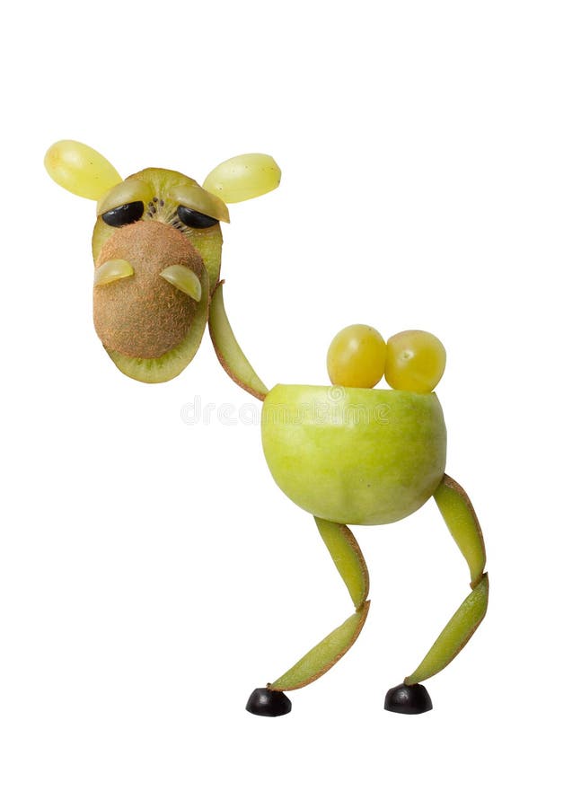 Funny camel made of fruits stock photo. Image of fruits - 73020754