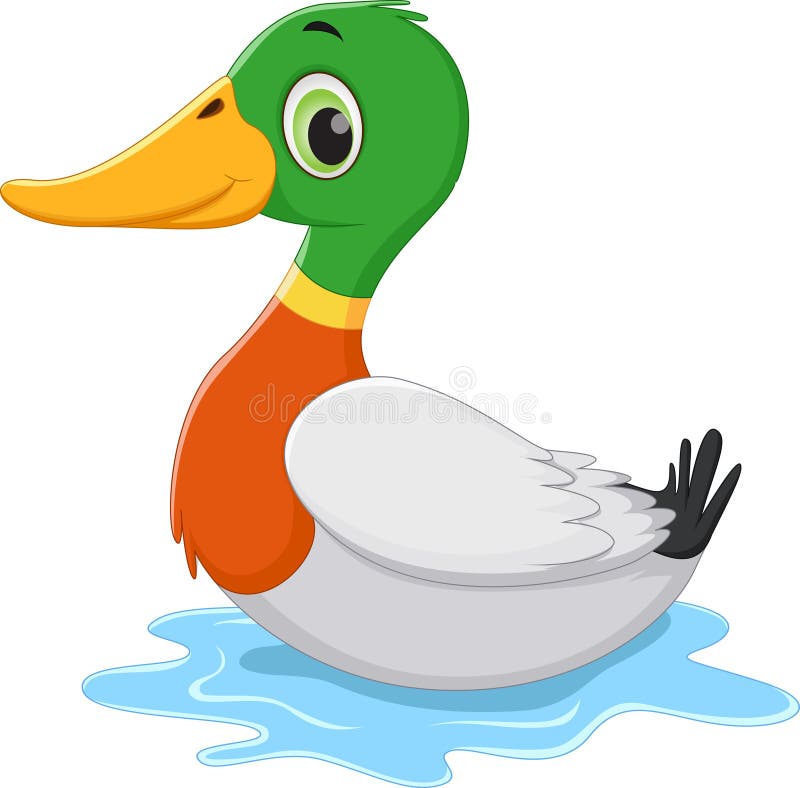 Funny Cartoon Duck Swimming Stock Vector - Illustration of animal, clip ...