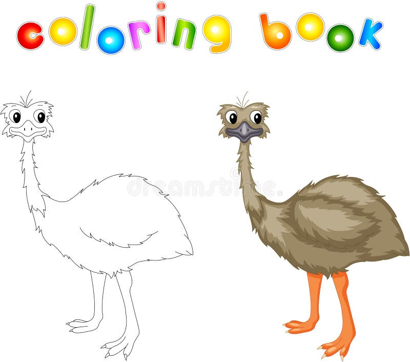Emu Coloring Stock Illustrations – 159 Emu Coloring Stock Illustrations ...
