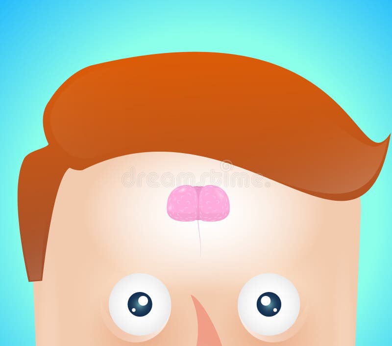 Funny Cartoon Head of Man with an Open Skull Stock Vector ...