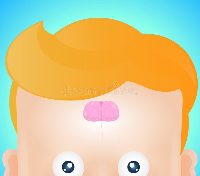 Funny Cartoon Head of Man with an Open Skull Stock Vector ...