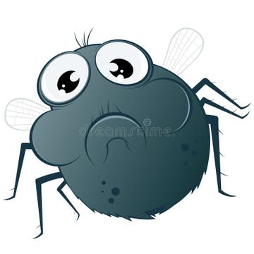 Funny cartoon fly stock vector. Illustration of vermin - 16799565
