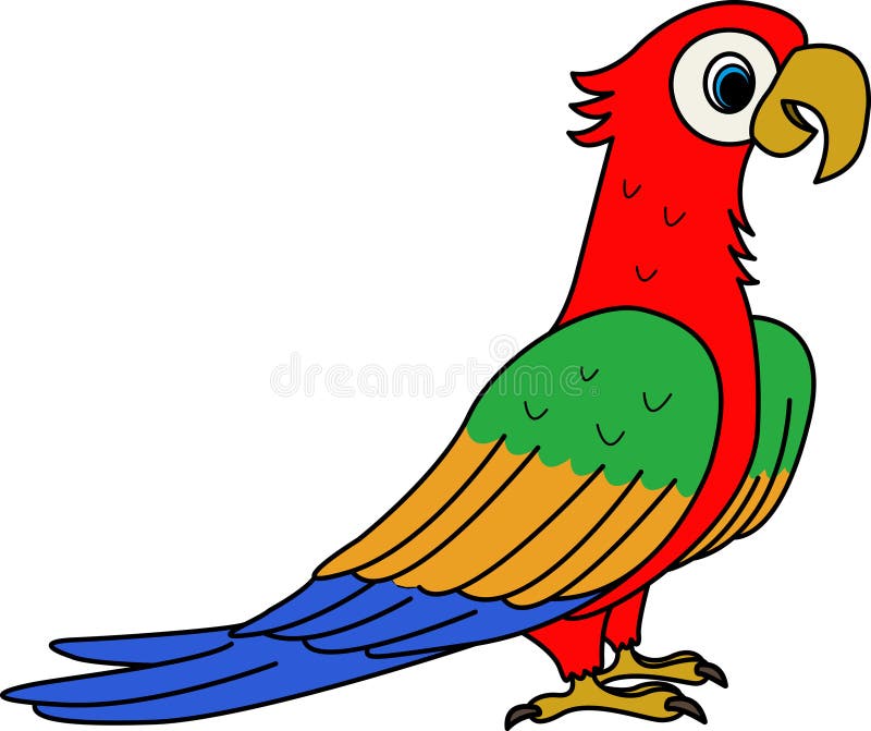 Funny Cartoon Parrot. stock vector. Illustration of cute - 269504413