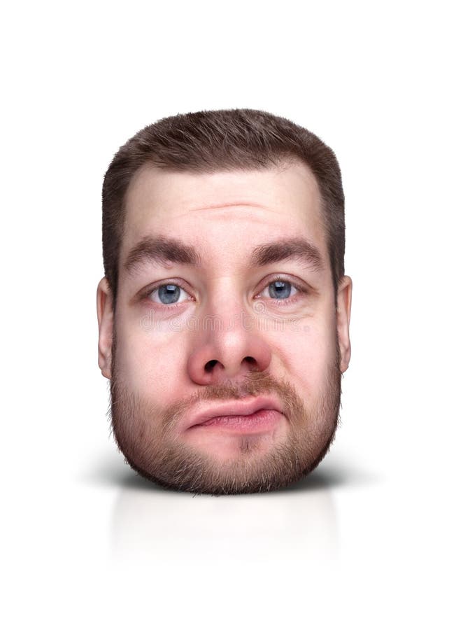 Funny cartoon portrait stock image. Image of laugh, isolated - 195580423