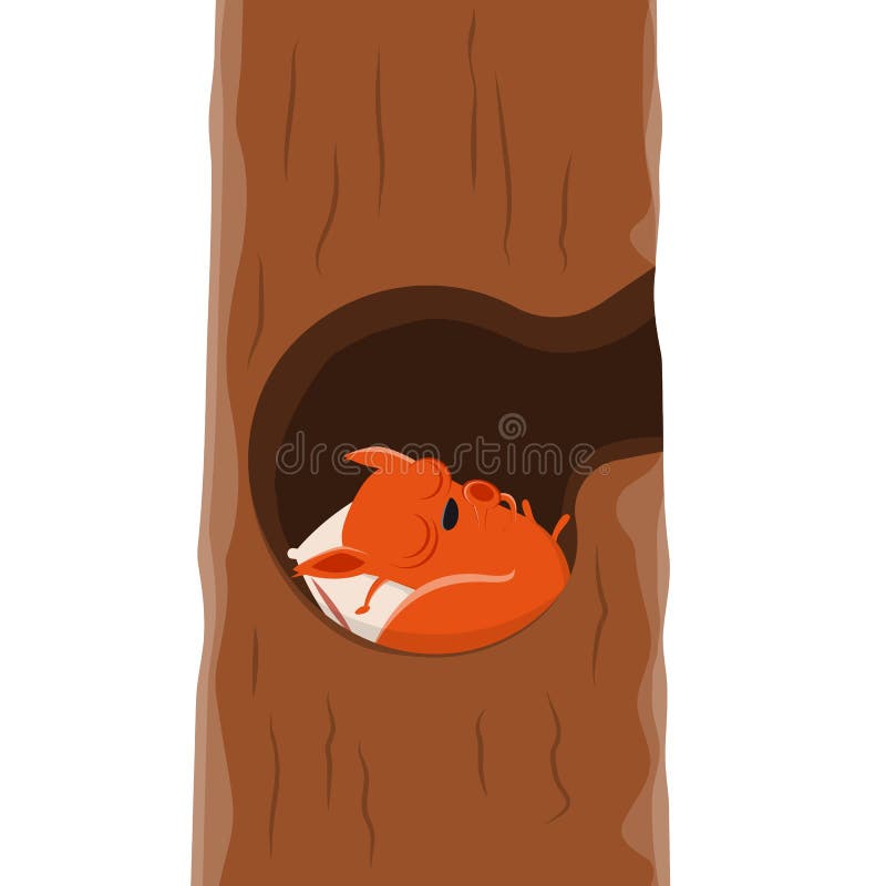 Funny Cartoon Squirrel Sleeping in a Tree Hole Stock Vector ...