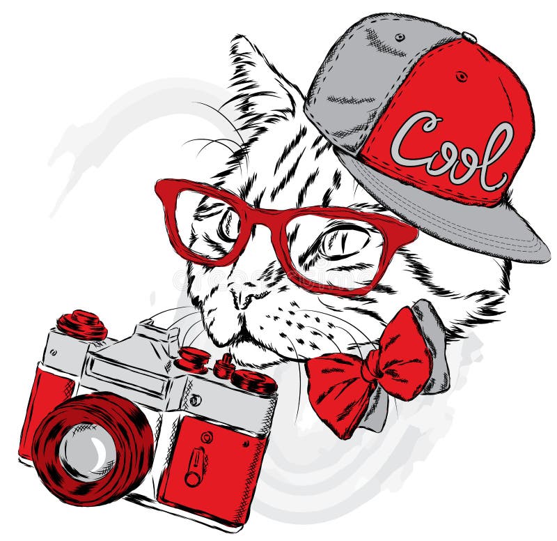 Funny Cat in a Cap and with a Camera. Vector Illustration. Print for ...