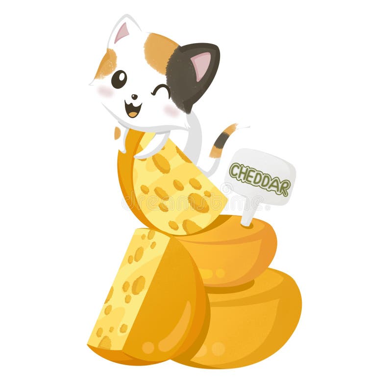 Funny Cat with Cheese Character Design Collection Stock Illustration ...