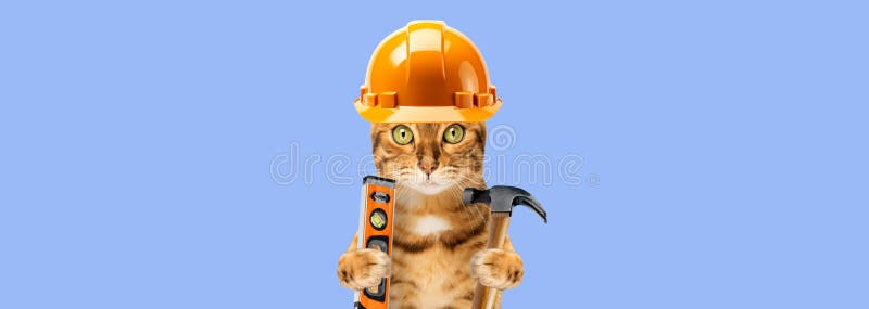 Funny Cat in a Construction Helmet on the Background of a Construction ...