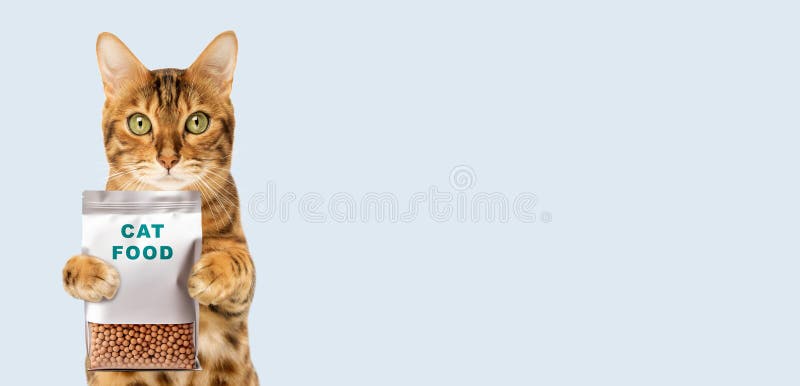 Funny Cat is Holding a Pack of Dry Cat Food Stock Photo - Image of copy ...