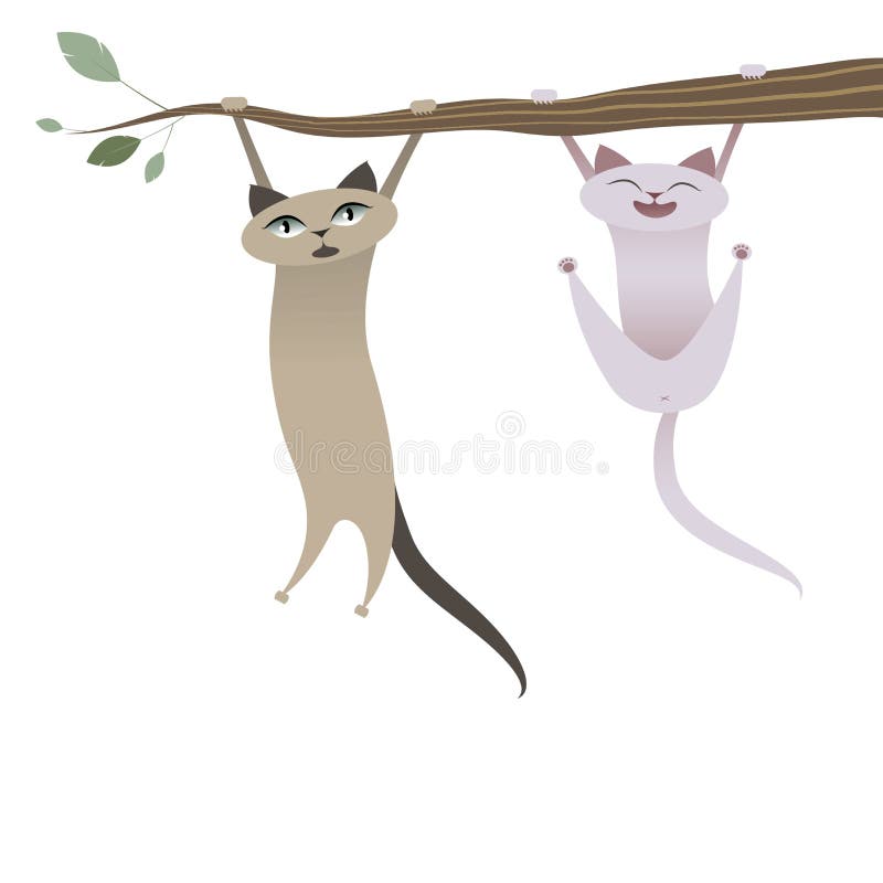 Cats on tree stock illustration. Illustration of moon - 30099514