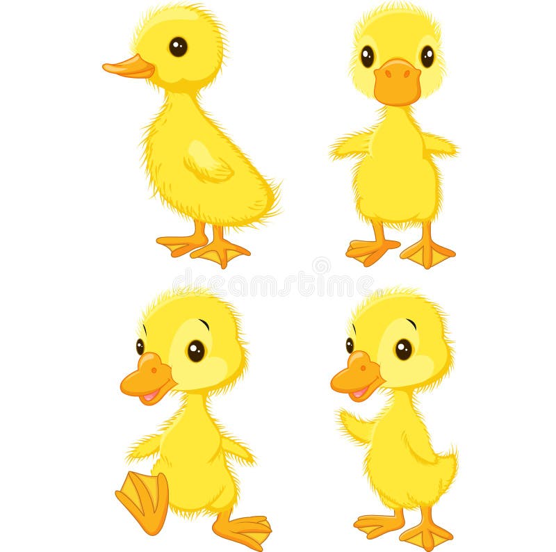 Funny chick cartoon stock vector. Illustration of yellow - 72172658
