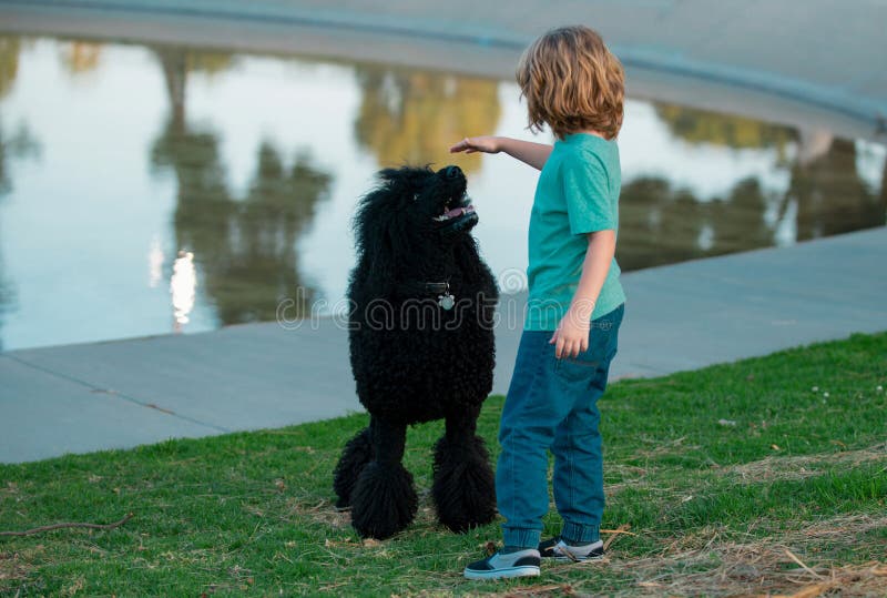 Funny Child Playing with Poodle Dog in the Park. Stock Image - Image of ...