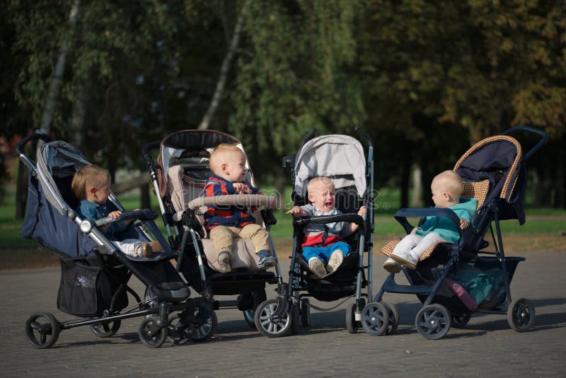 Funny Children Sitting in Strollers in Park Stock Photo - Image of ...