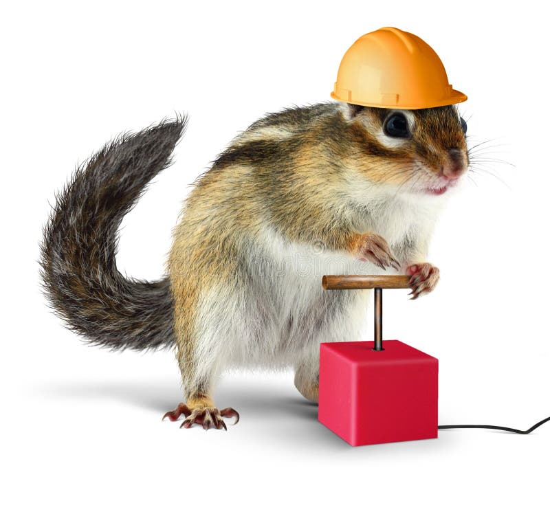 Funny Chipmunk With Detonator Isolated On White Stock Image - Image ...