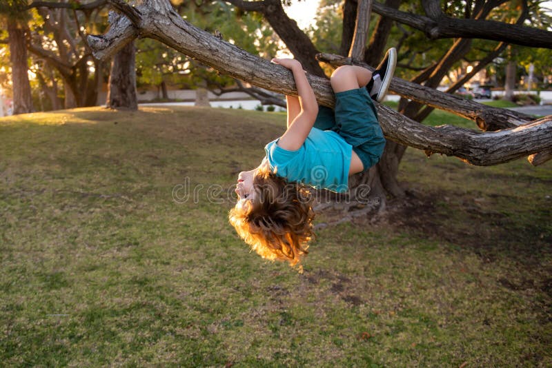 Funny Climbing Boy. Child Hanging Upside Down on Tree. Kids Climb ... Funny Climbing Boy. Child Hanging Upside Down on Tree. Kids Climb ...