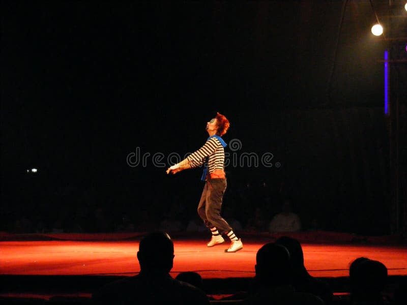 Clown in a circus editorial stock photo. Image of situation - 4215618