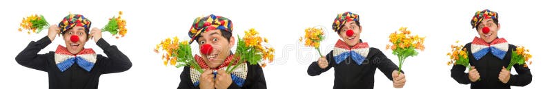 The Funny Clown with Flowers Isolated on White Stock Image - Image of ...