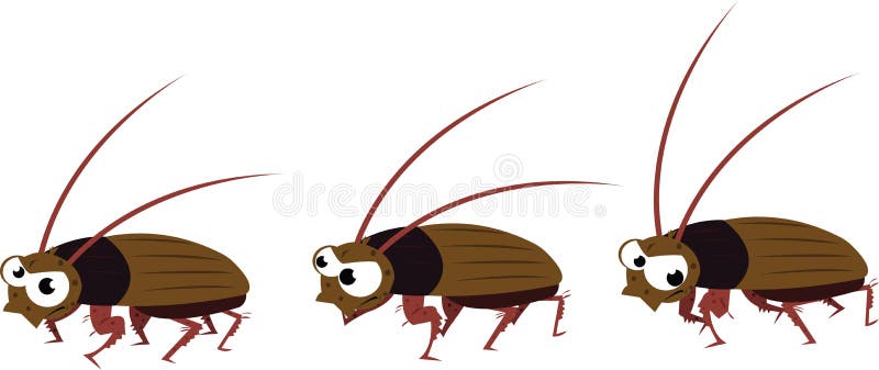 Funny cockroach walking stock vector. Illustration of isolated - 27089946