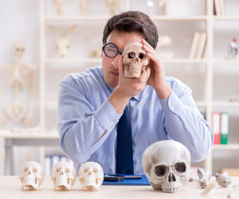 Funny Crazy Professor Studying Human Skeleton Stock Photo - Image of ...