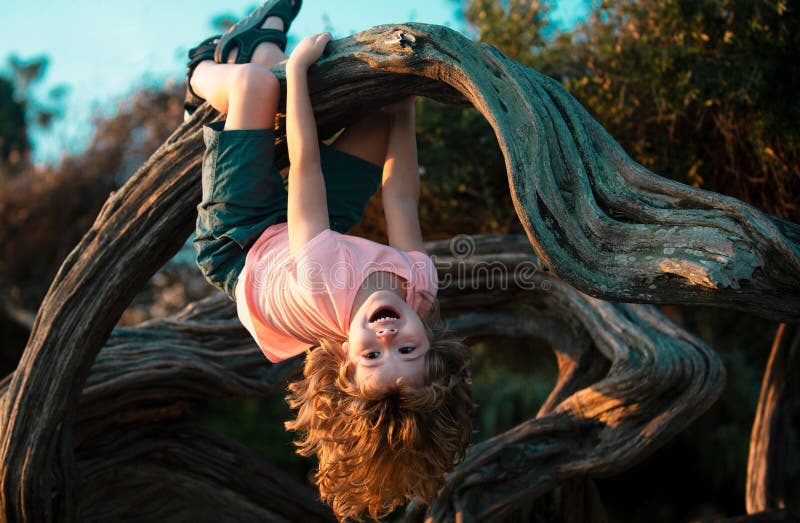 Funny Cute Boy Hanging from Branch of Tree. Summer Time. Stock Photo ...