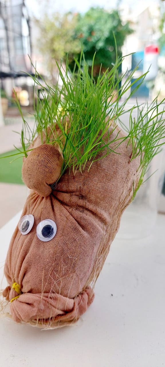 Funny Cute Green Grass Head Stock Image - Image of grass, head: 271864775